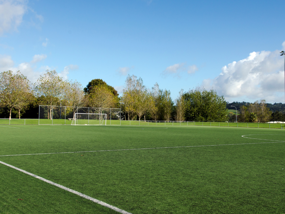 Environmental Sustainability in Sport and Physical Activity ...